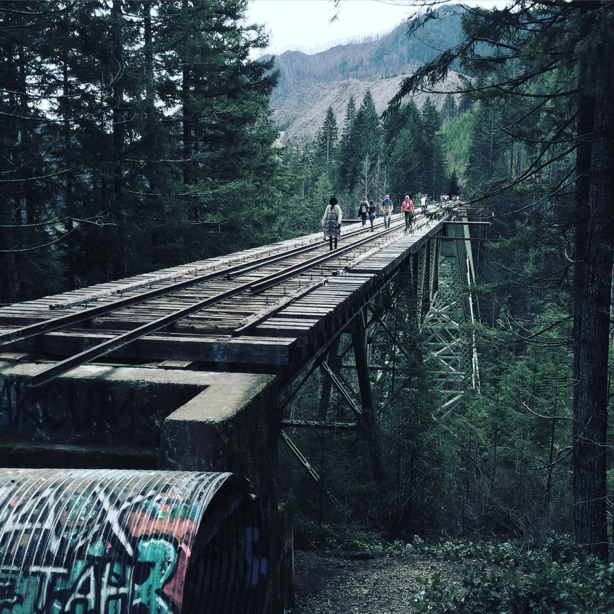 Adventure Seekers Hike: Vance Creek Bridge – BRE WANDERS