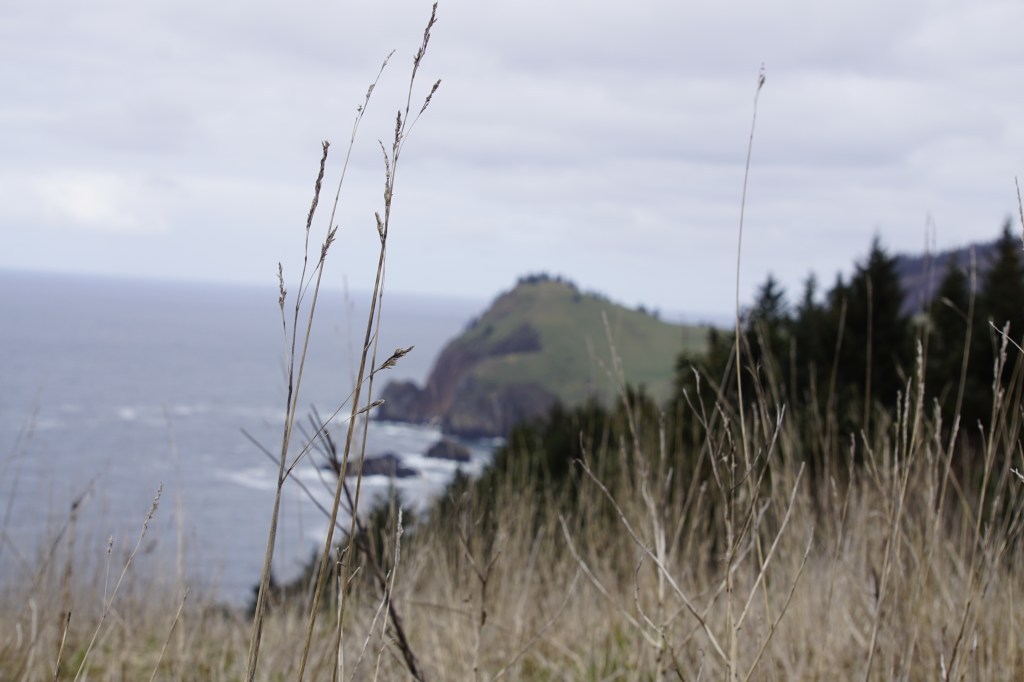 Day hike the Oregon coast – BRE WANDERS