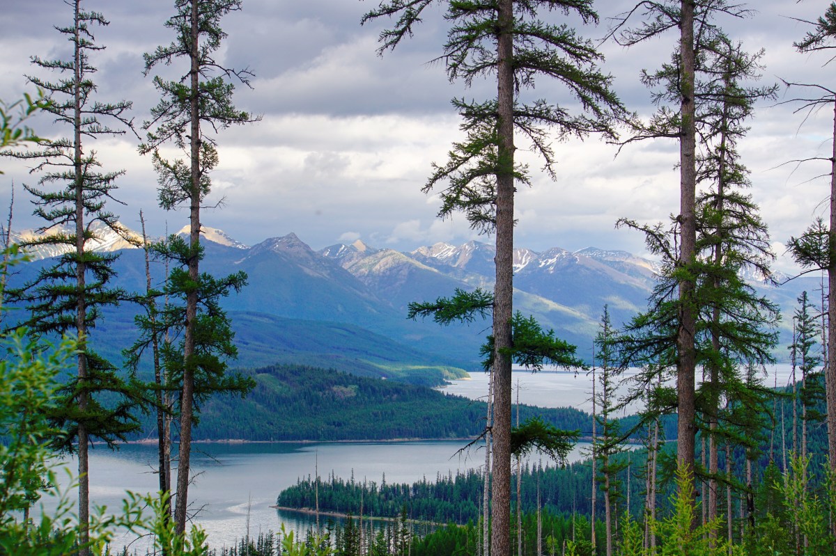 Road Trip: Beyond Glacier – Part 2 – BRE WANDERS