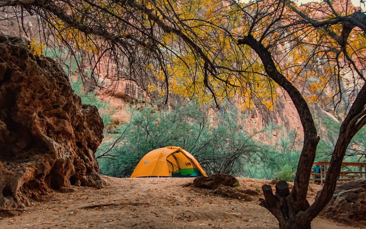 Review: REI Co-op Half Dome 2+ – BRE WANDERS